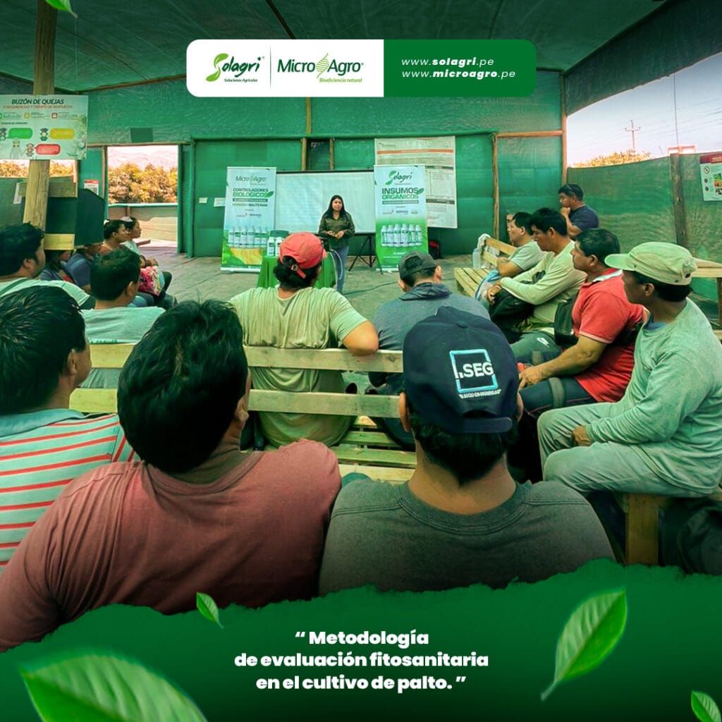 Novedades – MICROAGRO